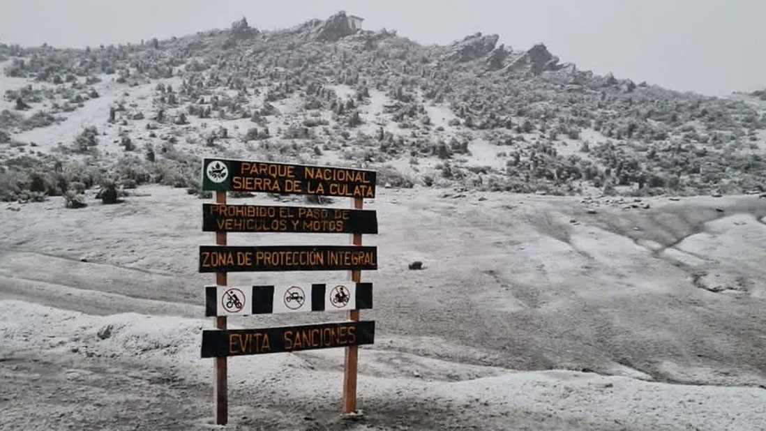 Mérida: Registran primera nevada del año en Pico El Águila
