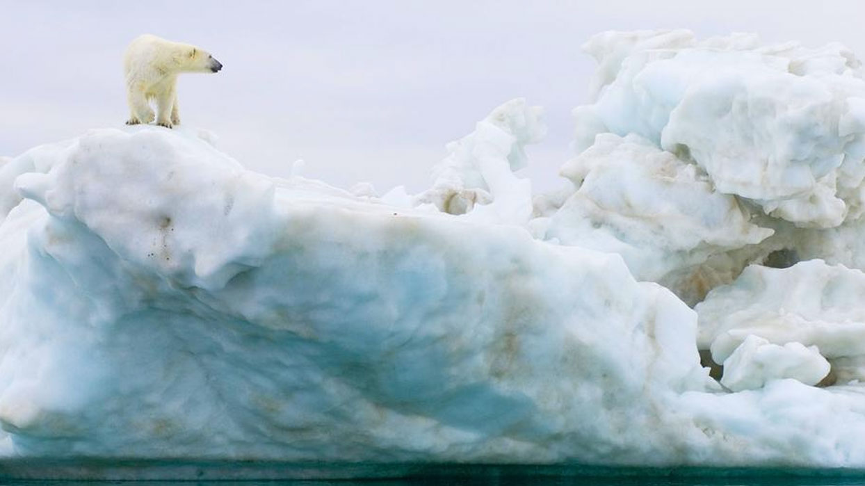 Ártico perdería todo su hielo marino de verano en 10 años