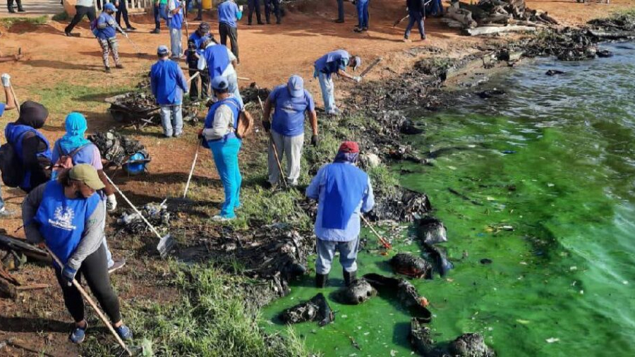 Inició el operativo de limpieza de las costas del Lago de Maracaibo