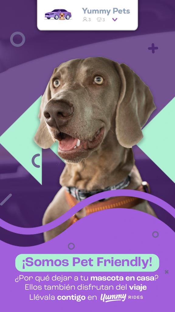 Yummy Rides ahora es Pet Friendly