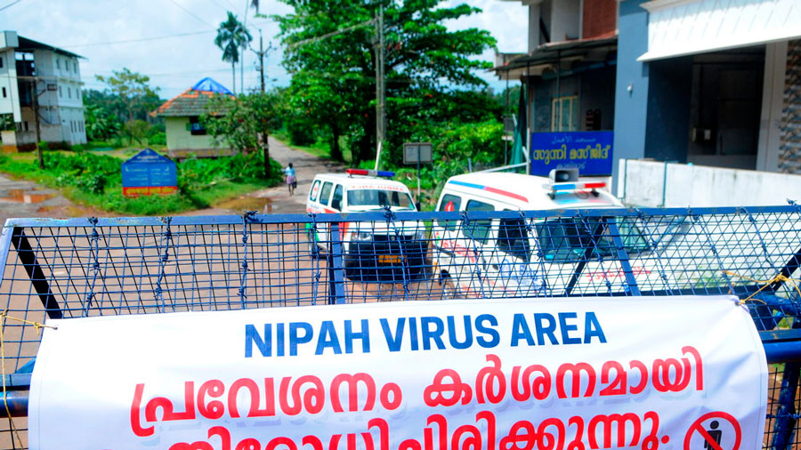 Un nuevo fallecido tras contraer virus Nipah en la India