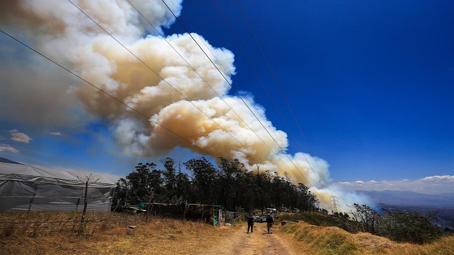 Incendios arrasan casi 40 mil hectáreas de vegetación durante el año en ...