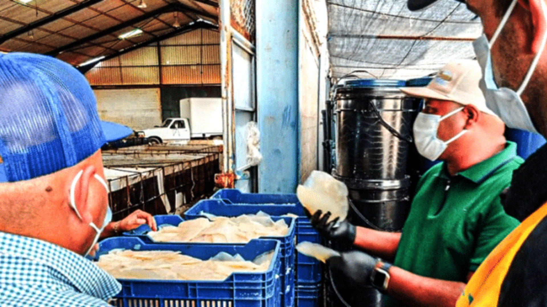 Venezuela exporta más de 1,5 toneladas de productos pesqueros a la isla ...