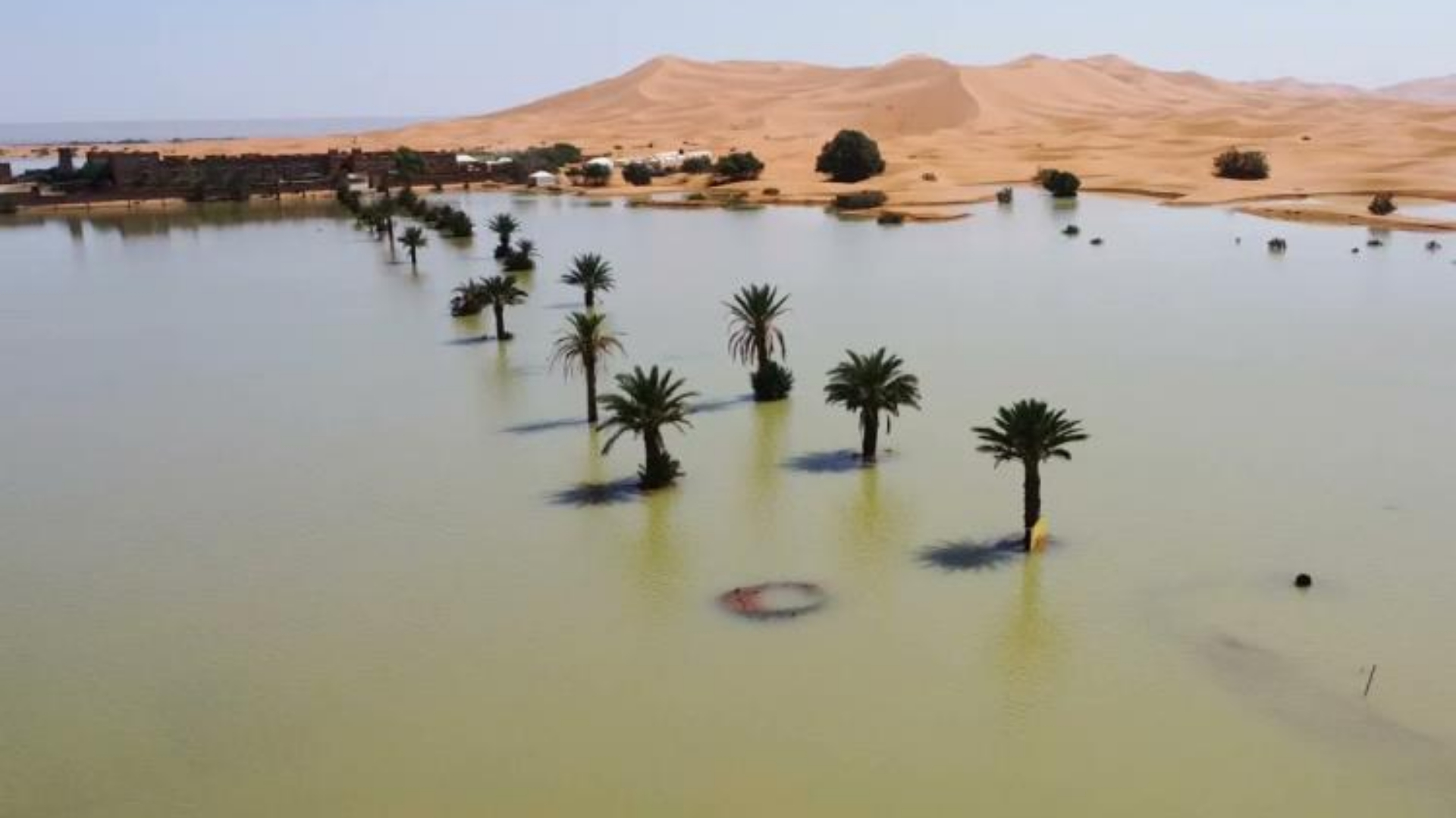 El Desierto Del Sáhara Se Inundó Por Primera Vez En Décadas