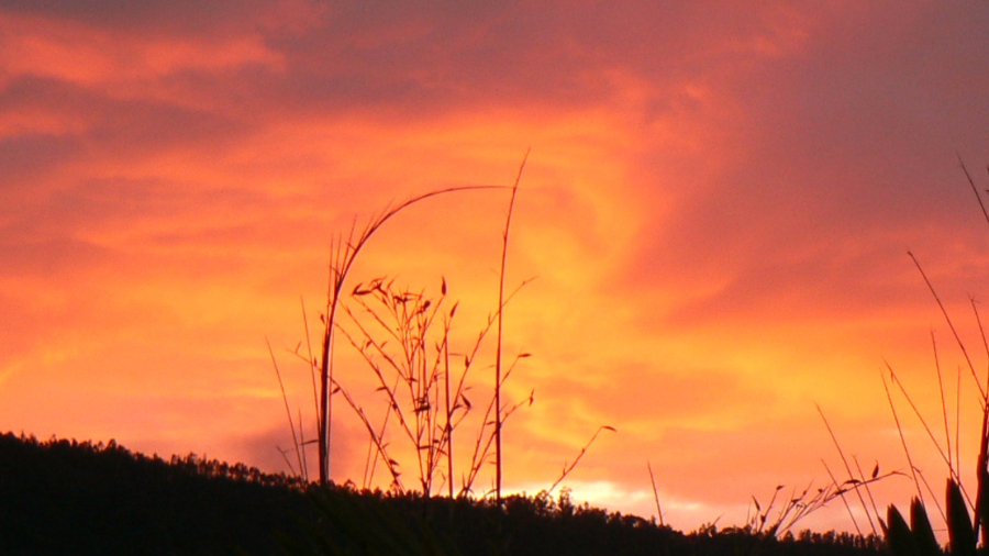 "Alborada": la clave que necesitas para empezar el día