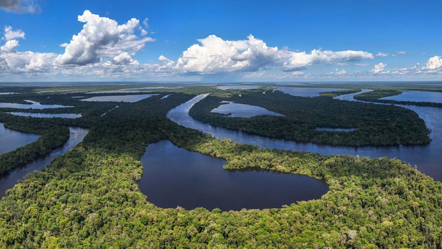La Cruz Roja lanzó un programa para combatir la crisis climática en la ...