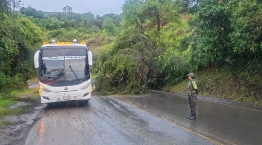Accidente en la vía Panamericana de Colombia deja dos muertos y cinco heridos