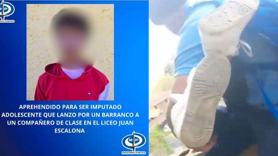 Tarek William Saab informó que fue detenido el joven que lanzó a un ...