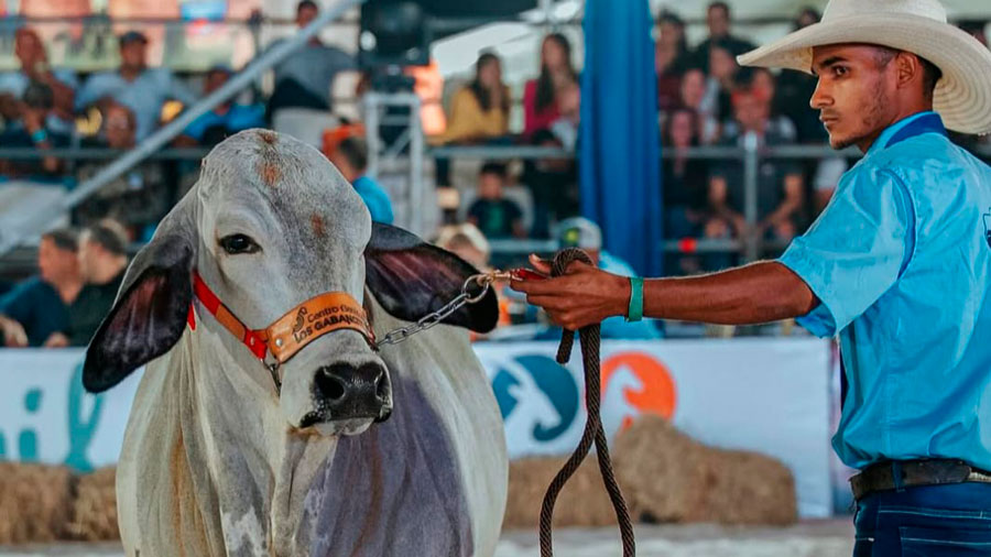 XLVIII Feria Nacional del Cebú y sus Cruces, Caracas 2025