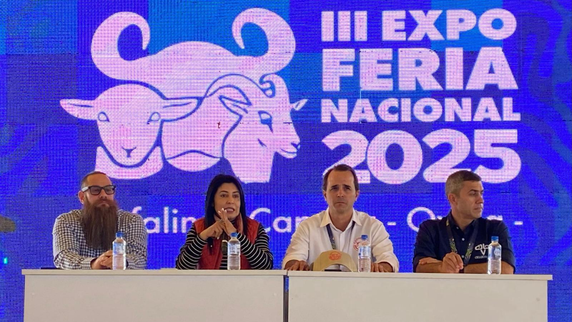 Todo está listo para la III Edición de la ExpoFeria Nacional Bufalina ...