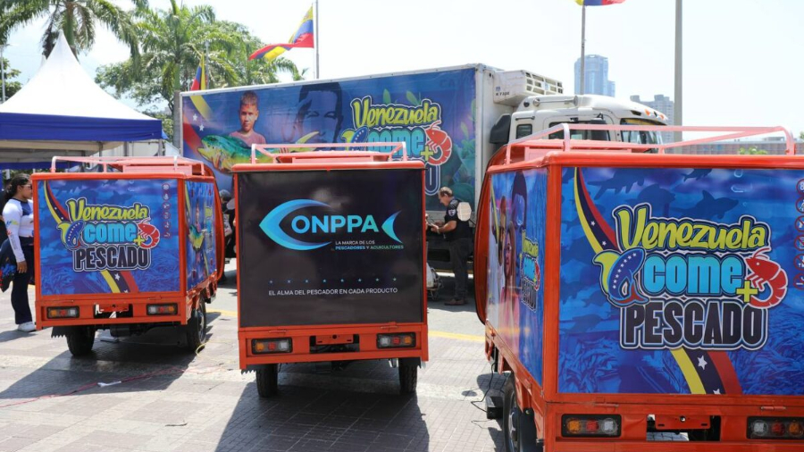 Estos son los puntos de la feria del pescado en Caracas