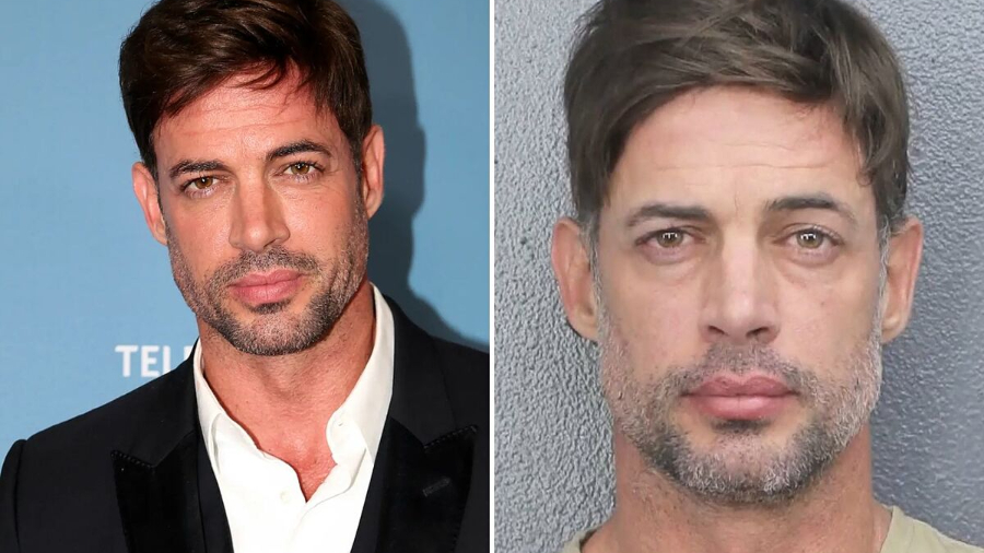 William Levy es arrestado en Florida por alteración del orden público y allanamiento