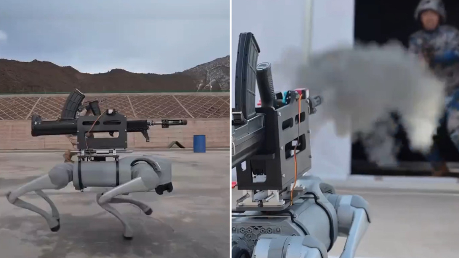 Un perro robot con un rifle muestra sus habilidades de "caza"