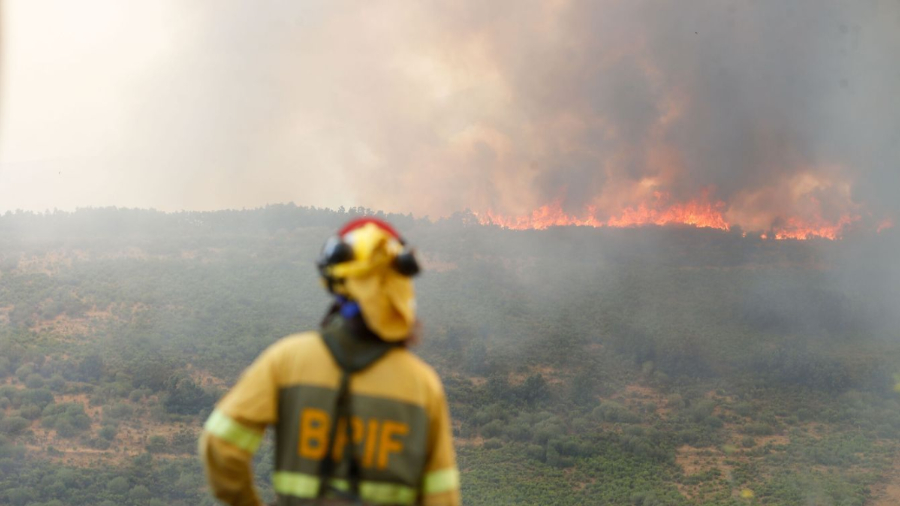 Incendios forestales continúan arrasando en España