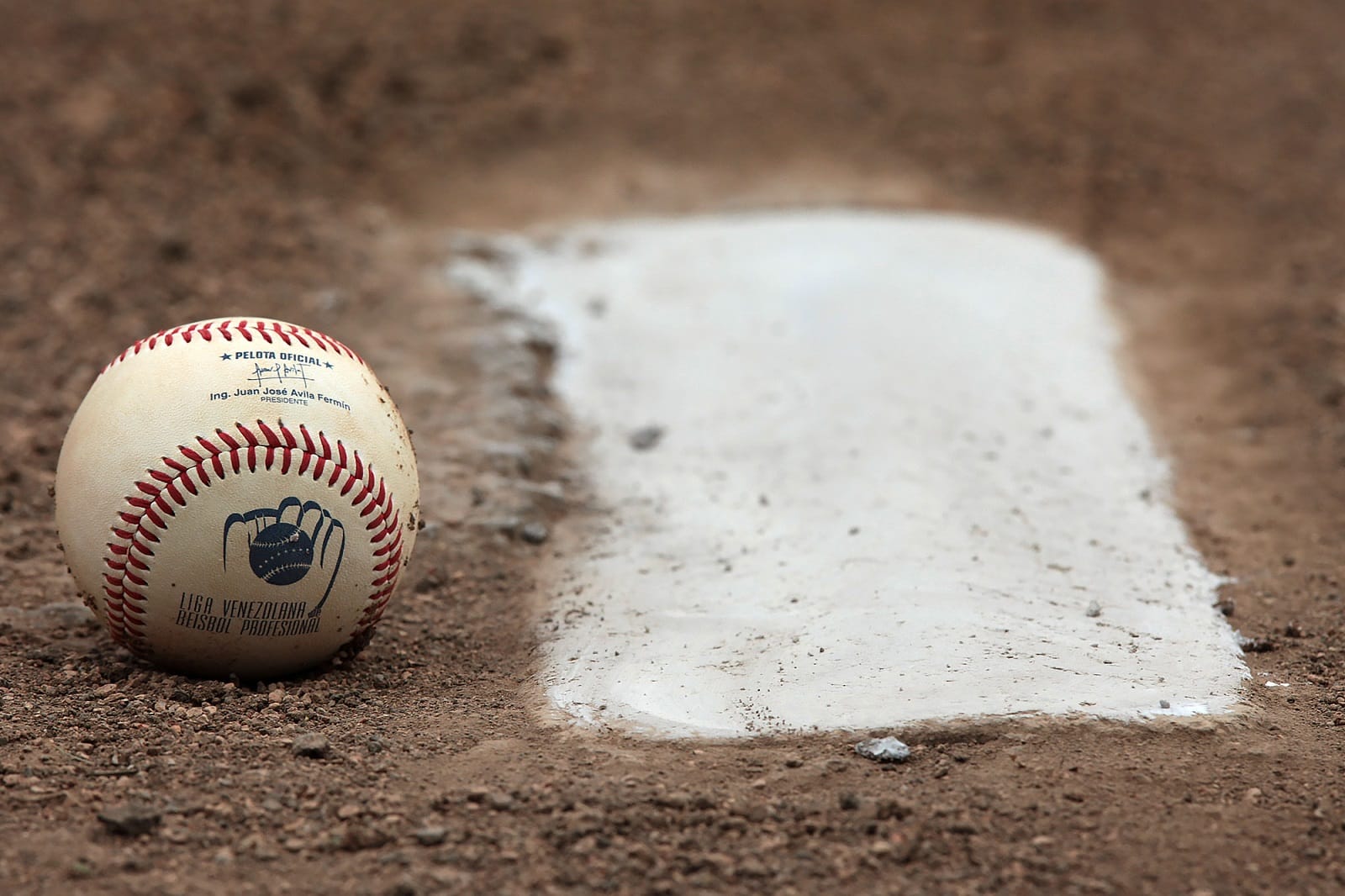 LVBP: los líderes de bateo y pitcheo en la temporada regular de 2025-2026