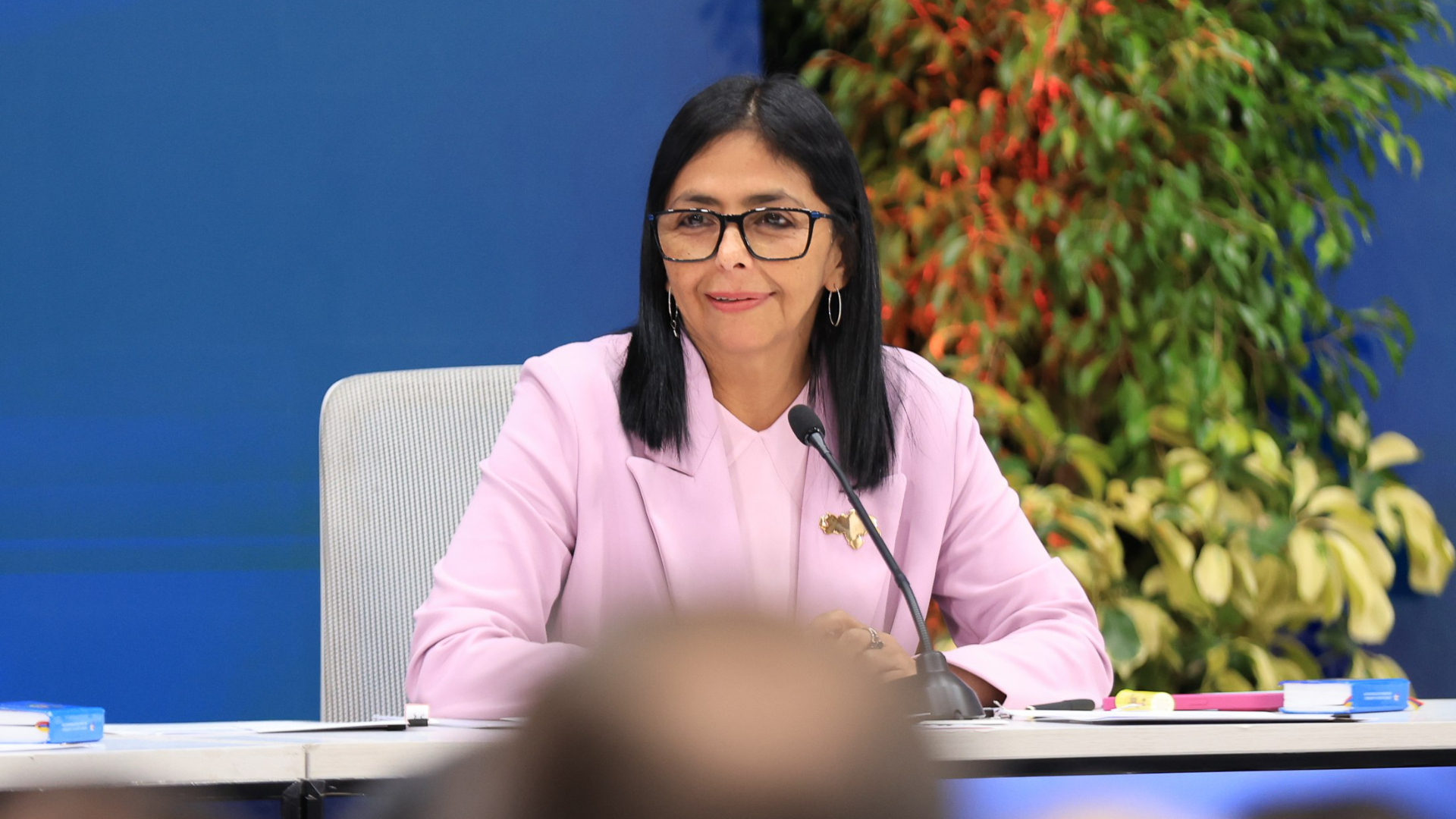Delcy Rodríguez proyecta inversión de 1.400 millones de dólares para ...
